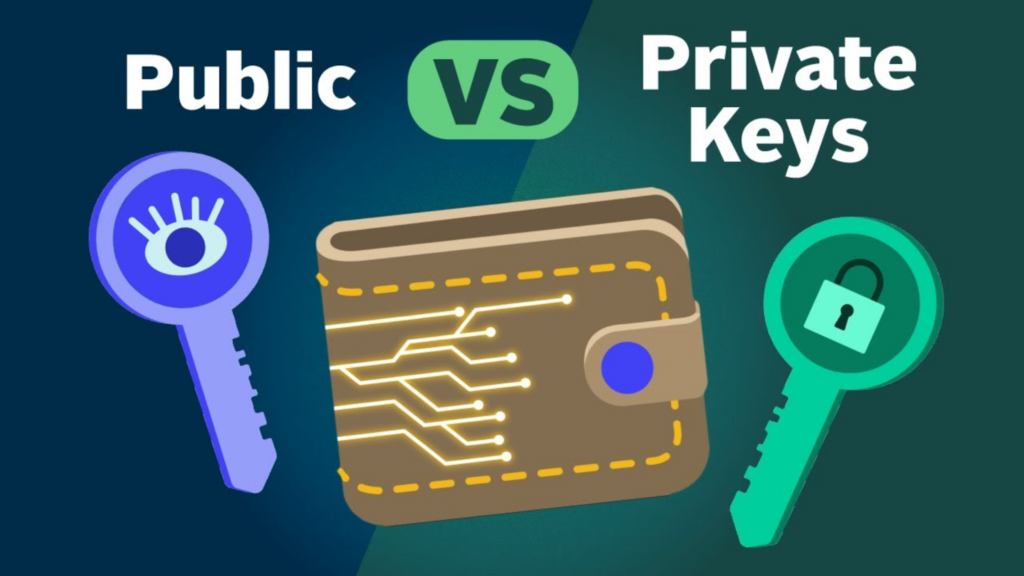 Public Key vs Private Key: Key Differences Explained