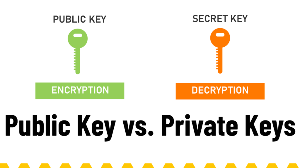 Public Key vs Private Key: Key Differences Explained