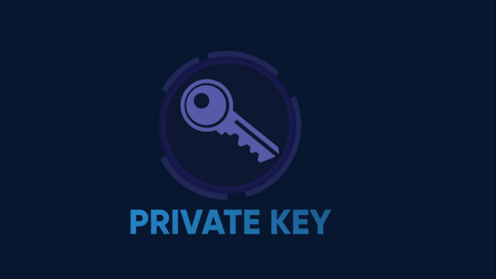 Public Key vs Private Key: Key Differences Explained