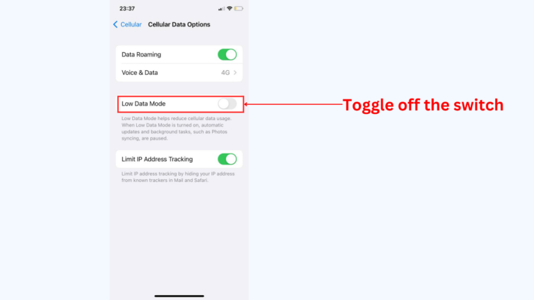 All You Need to Know About Background Data