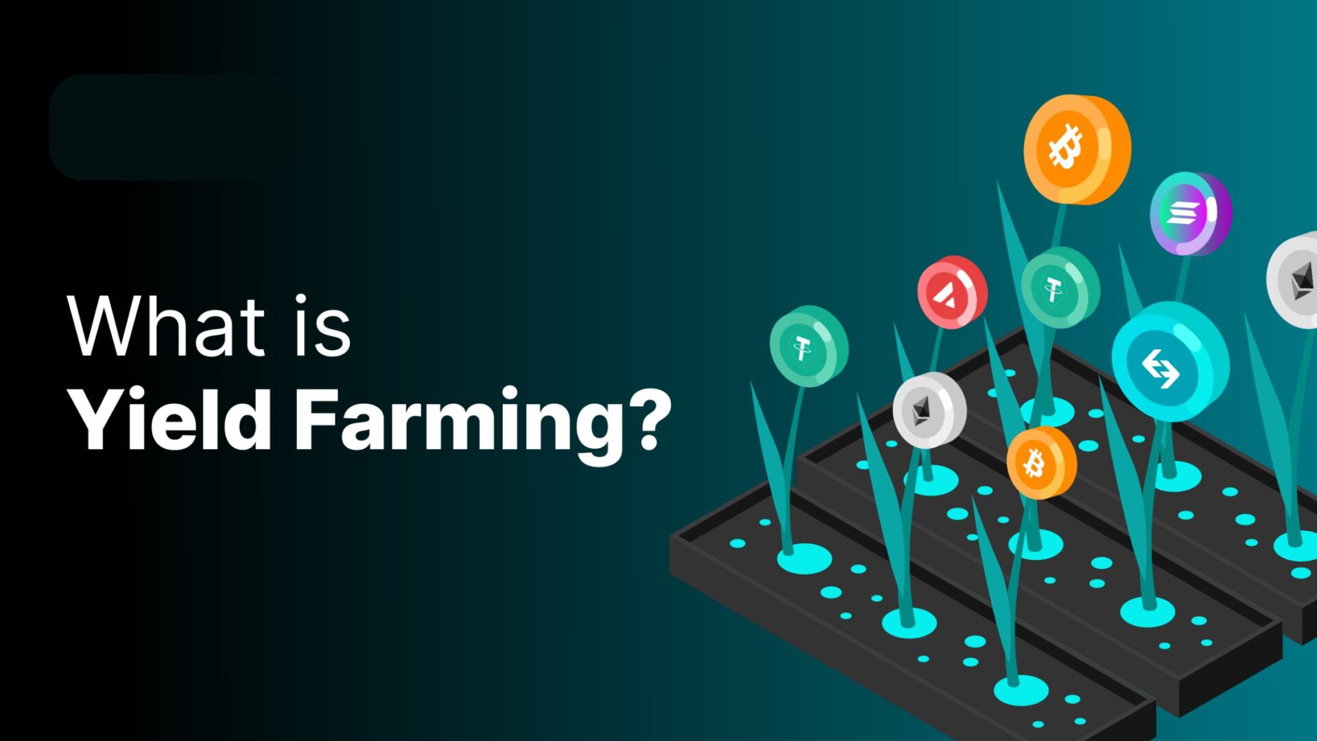 A Beginner's Guide to Yield Farming in DeFi