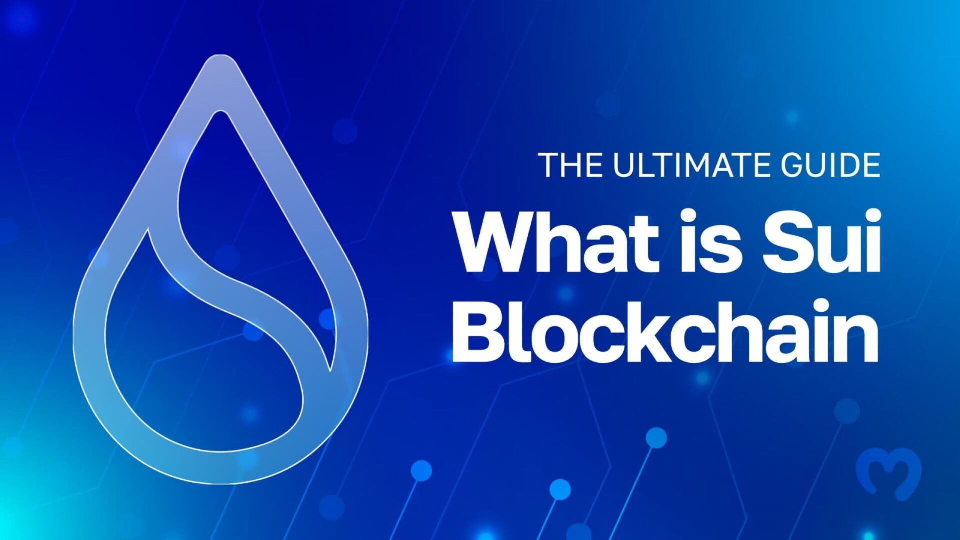 What is Sui Blockchain? Top Guide to the Future of Layer 1 Blockchain