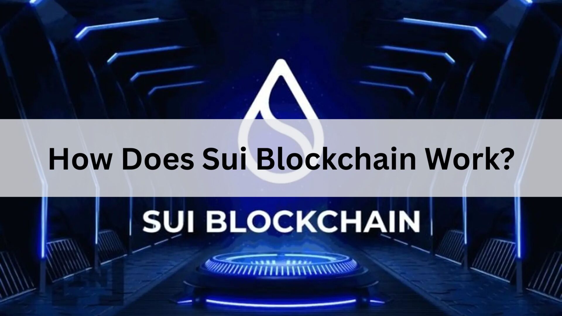 What is Sui Blockchain? Top Guide to the Future of Layer 1 Blockchain