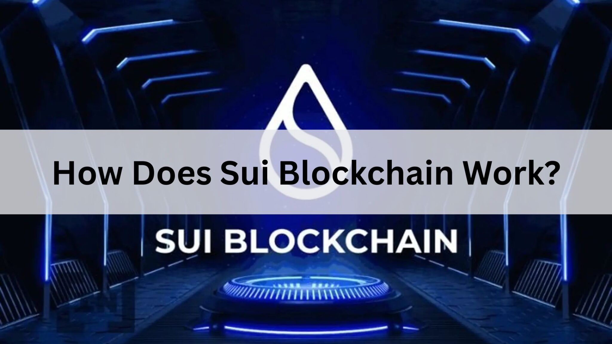 What is Sui Blockchain? Top Guide to the Future of Layer 1 Blockchain