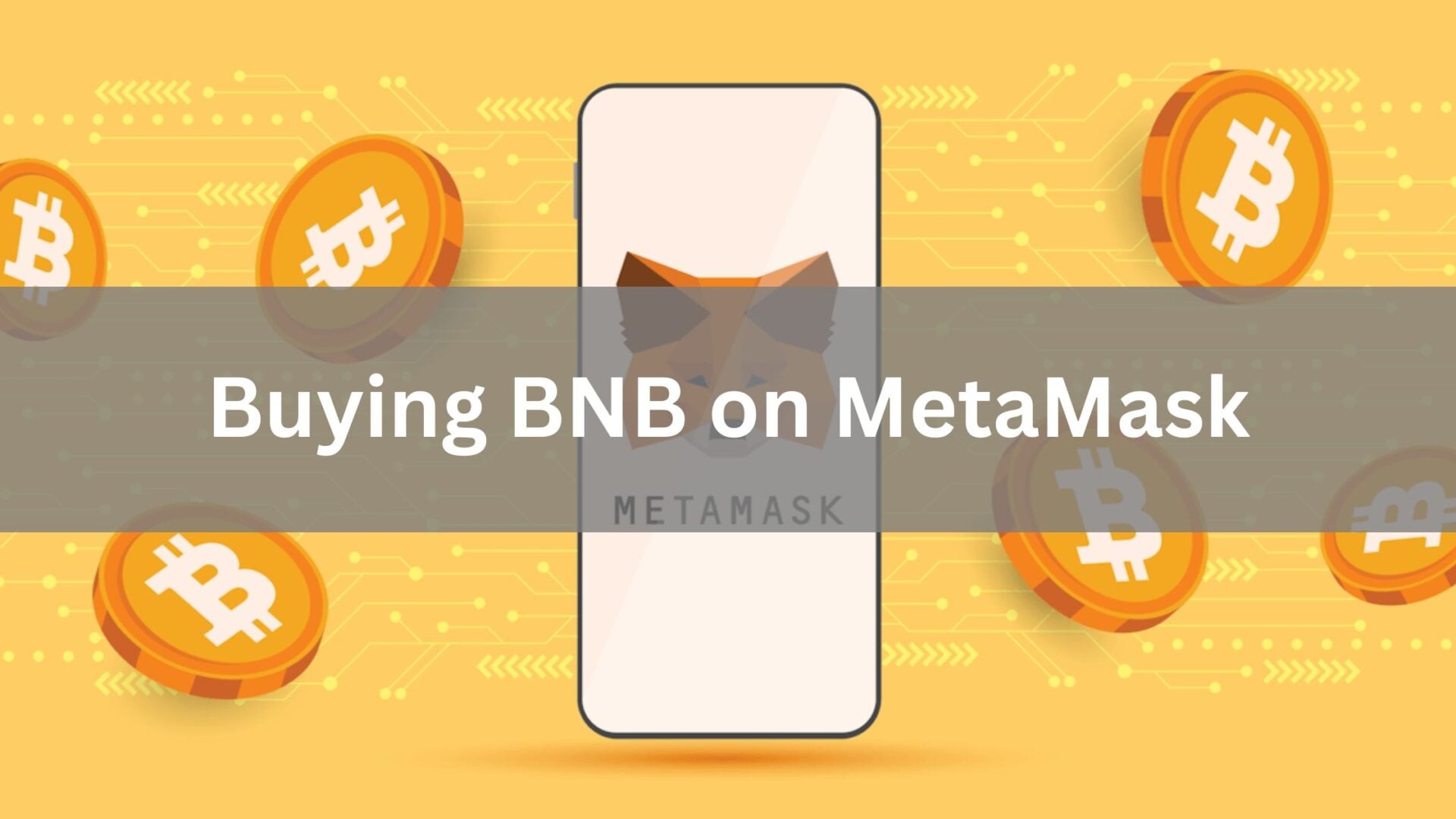 MetaMask Guide: How to Set Up, Add Networks, and Fund Your Wallet Safely